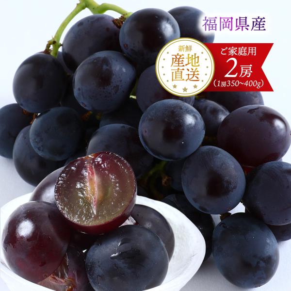 原材料:巨峰産地:日本内容量:350g〜400g×2房温度帯:冷蔵アレルギー表示:なしメーカー名:株式会社福岡中央青果  福岡県福岡市東区みなと香椎3丁目1番11号◆商品説明◆※商品のお届けは【8月中旬頃〜順次発送】となります。※青果の為、...