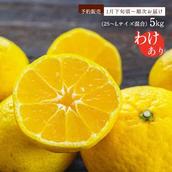 原材料:媛小春産地:日本内容量:5kg 2S〜Lサイズ混合温度帯:常温アレルギー表示:なしメーカー名:株式会社玉津柑橘倶楽部  愛媛県宇和島市吉田町法花津6-82-2◆商品説明◆※商品のお届けは【1月下旬頃〜順次発送】となります。ご了承くだ...