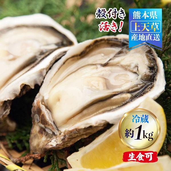 原材料:岩牡蠣(天草産)産地:日本内容量:1kg温度帯:冷蔵アレルギー表示:なしメーカー名:ベストアメニティ株式会社  福岡県久留米市三潴町田川32-3◆商品説明◆※※賞味期限は出荷日を含め冷蔵5日です。※※お早めにお召し上がりください。※...