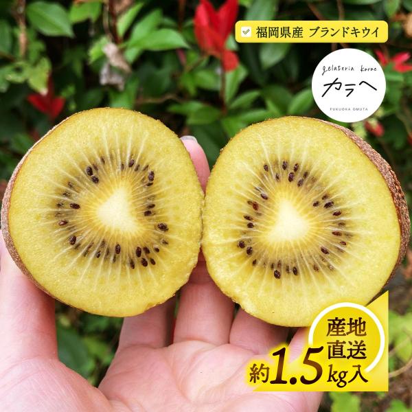 原材料:キウイ産地:日本内容量:約1.5kg温度帯:冷蔵アレルギー表示:キウイフルーツメーカー名:gelateria カラヘ  福岡県大牟田市本町4-6-1◆商品説明◆※商品のお届けは【11月頃〜順次発送】となります。ご了承ください。※青果...