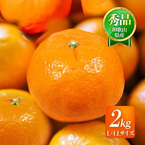 原材料:みかん(和歌山県)産地:日本内容量:2kg温度帯:常温アレルギー表示:なしメーカー名:森本農園  和歌山県海南市下津町黒田212-1◆商品説明◆※商品のお届けは【2月中旬頃〜順次発送】となります。ご了承ください。※青果の為、生育状況...