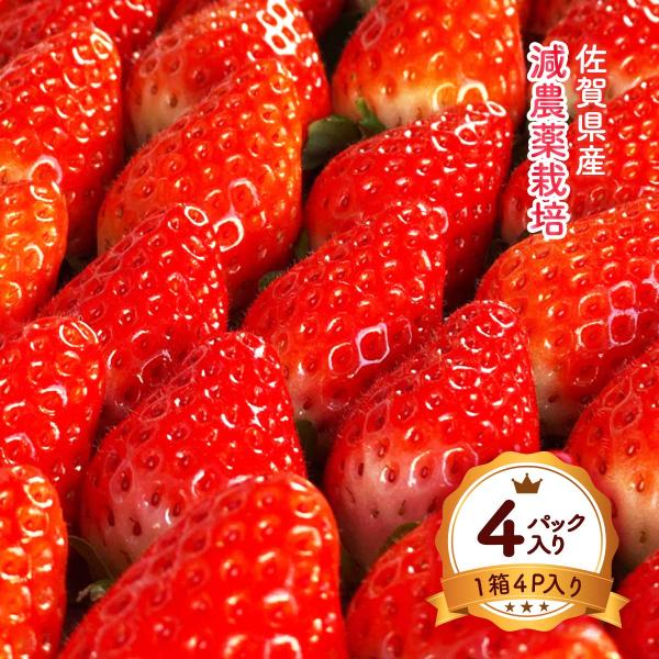 原材料:いちご(佐賀県産)産地:日本内容量:4P温度帯:冷蔵アレルギー表示:なしメーカー名:平川いちご農園  佐賀県東松浦郡玄海町有浦上3333◆商品説明◆※青果の為、生育状況によっては発送時期が前後することがございます。※お届け当日に開封...