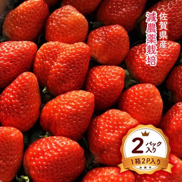 原材料:いちご(佐賀県産)産地:日本内容量:2P温度帯:冷蔵アレルギー表示:なしメーカー名:平川いちご農園  佐賀県東松浦郡玄海町有浦上3333◆商品説明◆※青果の為、生育状況によっては発送時期が前後することがございます。※お届け当日に開封...
