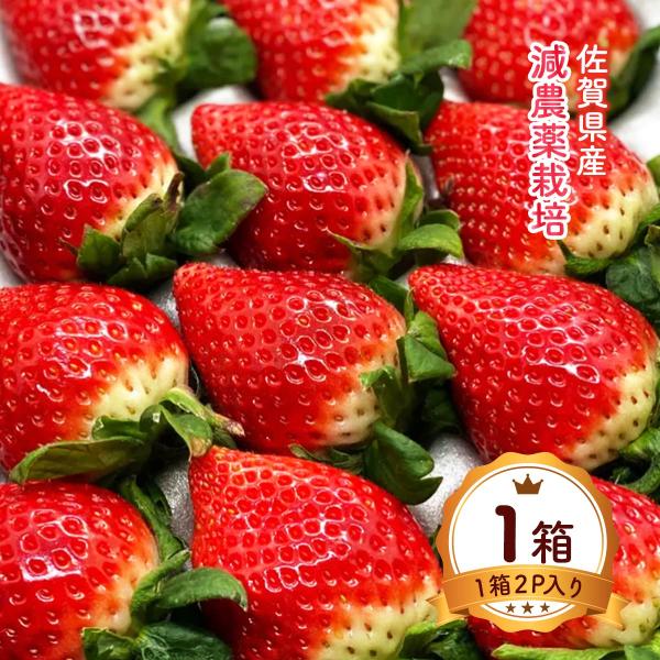 原材料:いちご(佐賀県産)産地:日本内容量:1P温度帯:冷蔵アレルギー表示:なしメーカー名:平川いちご農園  佐賀県東松浦郡玄海町有浦上3333◆商品説明◆※青果の為、生育状況によっては発送時期が前後することがございます。※お届け当日に開封...