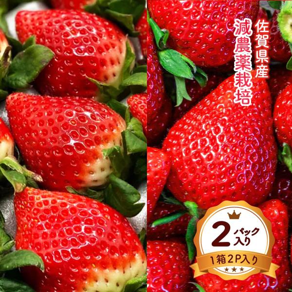 原材料:いちご(佐賀県産)産地:日本内容量:2P温度帯:冷蔵アレルギー表示:なしメーカー名:平川いちご農園  佐賀県東松浦郡玄海町有浦上3333◆商品説明◆※青果の為、生育状況によっては発送時期が前後することがございます。※お届け当日に開封...