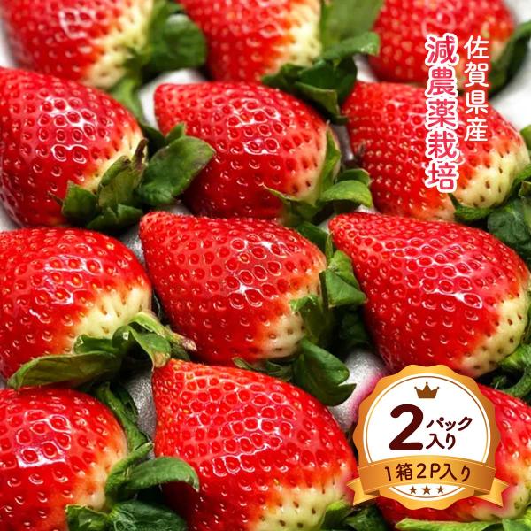 原材料:いちご(佐賀県産)産地:日本内容量:2P温度帯:冷蔵アレルギー表示:なしメーカー名:平川いちご農園  佐賀県東松浦郡玄海町有浦上3333◆商品説明◆※青果の為、生育状況によっては発送時期が前後することがございます。※お届け当日に開封...