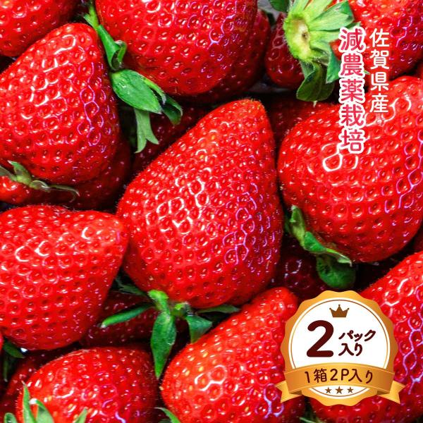 原材料:いちご(佐賀県産)産地:日本内容量:2P温度帯:冷蔵アレルギー表示:なしメーカー名:平川いちご農園  佐賀県東松浦郡玄海町有浦上3333◆商品説明◆※青果の為、生育状況によっては発送時期が前後することがございます。※お届け当日に開封...