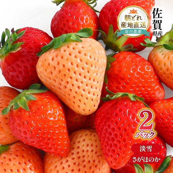 原材料:いちご(佐賀県産)産地:日本内容量:さがほのか１パック、淡雪１パック温度帯:冷蔵アレルギー表示:なしメーカー名:岸川農園  佐賀県杵島郡白石町福富295◆商品説明◆※商品のお届けは【1月頃〜順次発送】となります。※青果の為、生育状況...