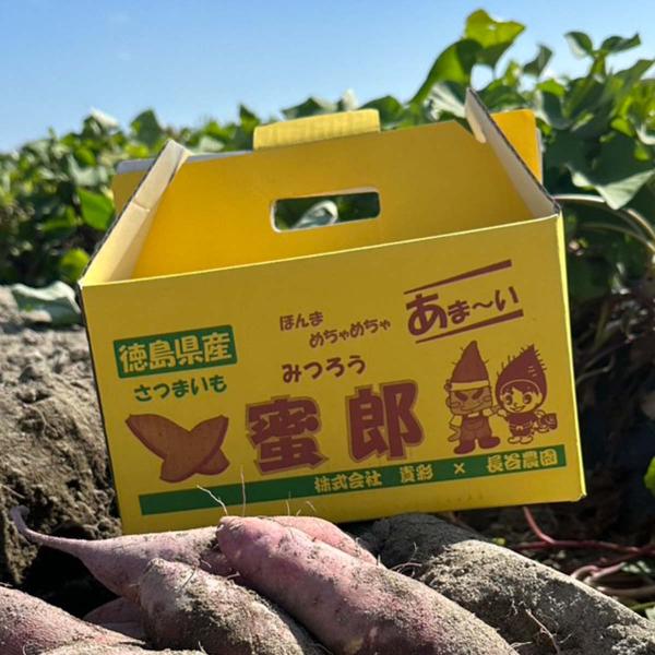 原材料:さつまいも(徳島県産)産地:日本内容量:3kg温度帯:常温アレルギー表示:なしメーカー名:株式会社貴彩  徳島県鳴門市里浦町里浦字恵美寿291-2◆商品説明◆※商品のお届けは【11月上旬頃〜順次発送】となります。※青果の為、生育状況...