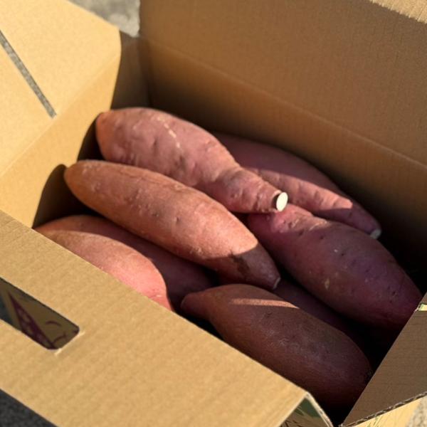 原材料:さつまいも(徳島県産)産地:日本内容量:3kg温度帯:常温アレルギー表示:なしメーカー名:株式会社貴彩  徳島県鳴門市里浦町里浦字恵美寿291-2◆商品説明◆※商品のお届けは【11月上旬頃〜順次発送】となります。※青果の為、生育状況...