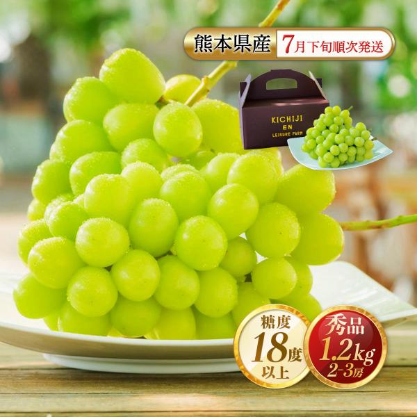 原材料:シャインマスカット産地:熊本県内容量:1.2kg(2-3房)温度帯:冷蔵アレルギー表示:なしメーカー名:株式会社吉次園  熊本県熊本市北区植木町木留556-1◆商品説明◆種無しで皮ごと食べられるマスカットとして人気急上昇中の期待の品...