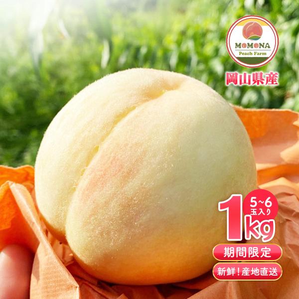 原材料:桃産地:岡山県内容量:1kg(5〜6玉)温度帯:冷蔵アレルギー表示:ももメーカー名:MOMONA Peach Farm  岡山県倉敷市玉島八島4052-1 プラスワン201号室◆商品説明◆※商品のお届けは【7月上旬頃〜順次発送】とな...
