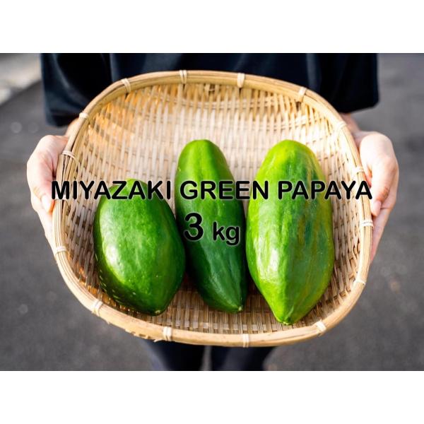 原材料名:青パパイア(宮崎県新富町産)内容量:3kg(宮崎グリーンパパイア6〜8個程度)アレルギー表示:なし◆商品説明◆※商品のお届けは【9月中旬頃〜順次発送】となります。※青果の為、生育状況によっては発送時期が前後することがございます。※...