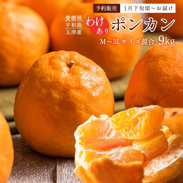 原材料:ポンカン産地:日本内容量:9kg M~3Lサイズ混合温度帯:常温アレルギー表示:なしメーカー名:株式会社玉津柑橘倶楽部  愛媛県宇和島市吉田町法花津6-82-2◆商品説明◆※商品のお届けは【1月下旬頃〜順次発送】となります。ご了承く...