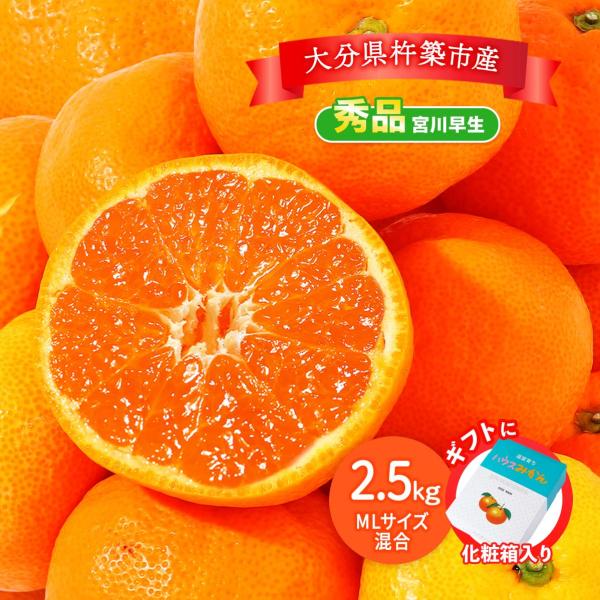 原材料:みかん(大分県産)産地:日本内容量:2.5kg(20〜25玉MLサイズ)温度帯:常温アレルギー表示:なしメーカー名:有限会社オレンジ農園  大分県杵築市中642-1◆商品説明◆※商品のお届けは【7月上旬頃〜順次発送】となります。※青...