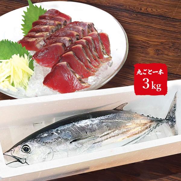 原材料:かつお産地:宮崎内容量:3kg温度帯:冷蔵アレルギー表示:なしメーカー名:南郷漁業協同組合  宮崎県日南市南郷町中村乙4614番地3◆商品説明◆※こちらの商品は【2月下旬頃〜順次配送】となります。配送時期は漁獲状況によって変わる可能...