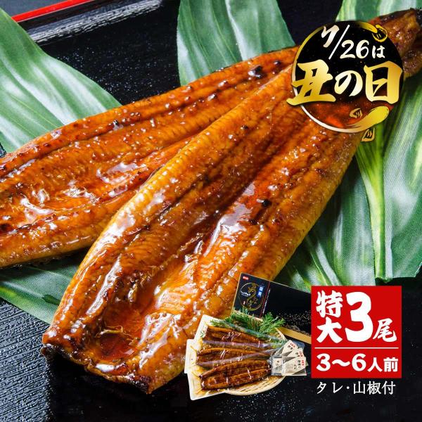 産地:日本(鹿児島県)内容量:無頭蒲焼×3・タレ山椒付き×３・リーフレット温度帯:冷凍アレルギー表示:大豆、小麦含むメーカー名:株式会社薩摩川内鰻  鹿児島県薩摩川内市東郷町斧渕8710-3◆商品説明◆※厳選※鹿児島県産うなぎ蒲燒特大3尾（...