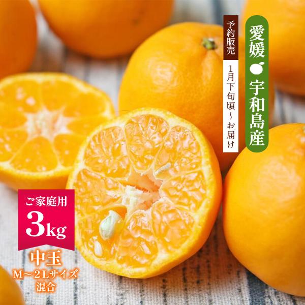 原材料:ポンカン産地:日本内容量:3kg温度帯:常温アレルギー表示:なしメーカー名:株式会社フレッシュつちやま  愛媛県宇和島市吉田町白浦210◆商品説明◆※商品のお届けは【1月下旬頃〜順次発送】となります。ご了承ください。※青果の為、生育...