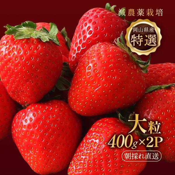 原材料:いちご(岡山県美作市)産地:日本内容量:400g×2パック温度帯:冷蔵アレルギー表示:なしメーカー名:有限会社美作農園  岡山県美作市奥1117◆商品説明◆※商品のお届けは【1月頃〜順次発送】となります。ご了承ください。※青果の為、...