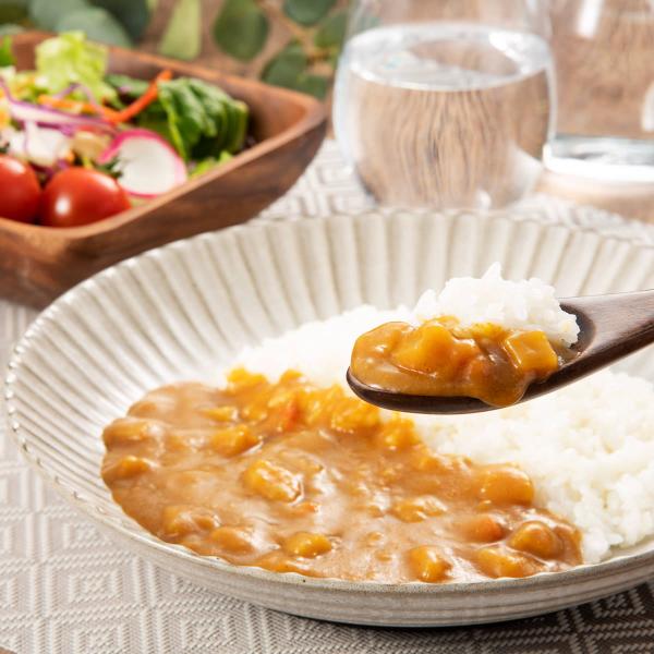 カレー専門店「Sabzi」オリジナルカレー、野菜の旨みたっぷりのカレーです。レトルトカレーなので温めるだけで美味しいカレーをお楽しみいただけます。手間なく簡単に作れるのでランチや夜食におすすめです。
