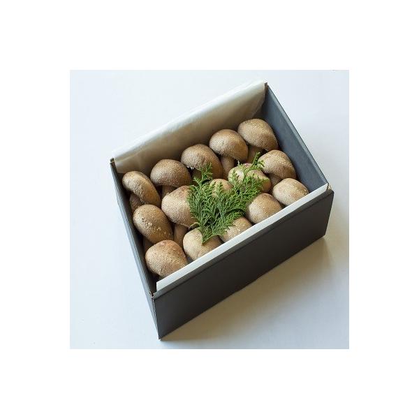 【鮮度・大きさ・厚みを厳選した、肉厚で食べ応えのある生しいたけ詰め合せです。】豊かな水と緑に囲まれた南島原から、採れたての生しいたけをお届けします。澄んだ空気の中、自然の恵みを受け、すくすくと育った生しいたけ。こだわりの原材料と24時間の空...