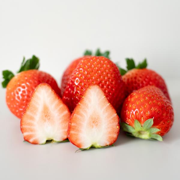 「栃木 極撰苺 とちあいか ギフト箱入り」は、おめでたいお祝いなどの特別な贈答用としても大変喜ばれるフルーツギフトです。栃木県のブランドいちご「とちあいか」の中でも大粒のものだけを選別しました。酸味が少なく甘みが強いので、すっぱさが苦手な方...