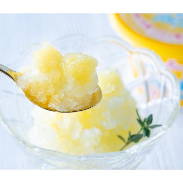 「サクレパイン」は、冷凍庫から出した直後でも食べやすいサクサク食感の氷が特徴です。甘酸っぱいパイン味のかき氷に角切りのパイン果肉をたっぷり混ぜ込みました。ジューシー感とパインの甘い香りをお楽しみいただけます。※予告なくパッケージ類が変更にな...