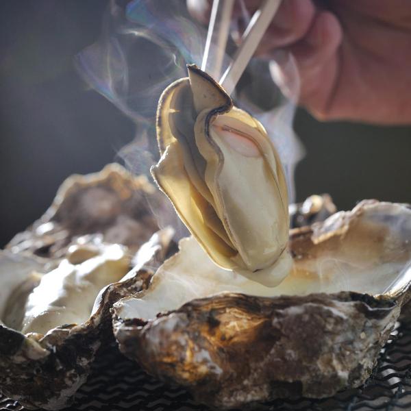 「かなわ 冷凍殻付かき15個 レンジ袋入」は、新鮮な生食用牡蠣を殻のまま急速冷凍。採れたての旨味を閉じ込めたまま、電子レンジで加熱し蒸かきにできます。瀬戸内海の無人島「大黒神島沖」は生活排水の混じらない澄んだ海域です。塩分濃度が3.1％以上...