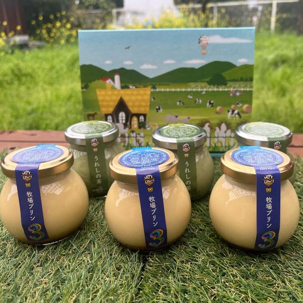 「佐賀 牧場プリン3 牧場プリン うれしの茶 詰め合わせ」は佐賀県みやき町の大富牧場の新鮮な生乳を使用したプリンのセットです。大富牧場は環境にやさしい3ステップの循環式牧場です。生乳は65℃で低温殺菌し、しぼりたての3時間でプリンを作ってい...