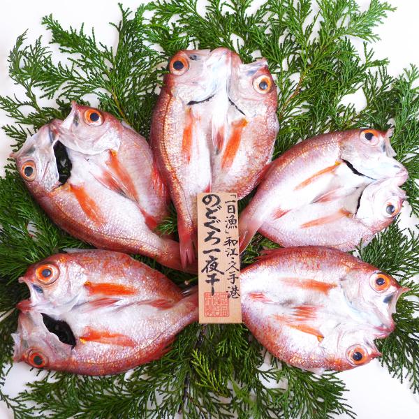 島根県大田市の干物専門店”岡富（おかとみ）商店”がお届けする「一日漁 のどぐろ 一夜干し」です。日本海でとれる魚の中でも、近年高級なのどぐろを使用。のどぐろの標準和名は「あかむつ」ですが、口の中が黒いため、日本海側では「のどぐろ（のどくろ）...