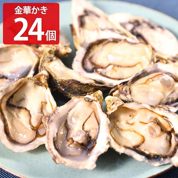 「uoya 片倉商店 女川オイスターファーム 宮城産 金華かき」は、シングルシード方式で養殖した生食用の殻付き牡蠣です。世界有数の”栄養フロント”である宮城県の金華山（きんかさん）エリア。三陸金華山沖エリアは世界三大漁場の一角とされるほど肥...