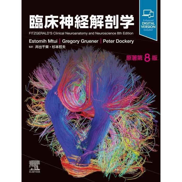 【商品概要】【商品説明】【商品詳細】ブランド：ELSEVIER商品種別：本商品名：臨床神経解剖学　原著第8版製造元：エルゼビア・ジャパン発売日：2022年09月14日【当店からの連絡】