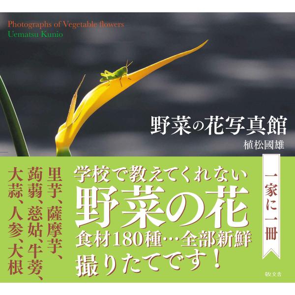【商品概要】【商品説明】【商品詳細】商品種別：本商品名：野菜の花写真館製造元：敬文舎発売日：2021年05月25日【当店からの連絡】