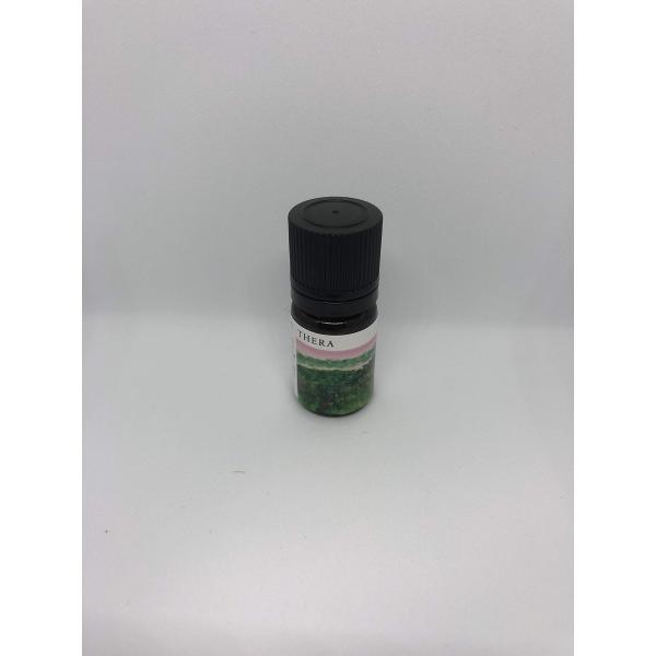 【商品概要】カラー:吉野ひのきサイズ:5mL香り:吉野ひのき原産国:日本内容量:5mL【商品説明】【商品詳細】ブランド：THERA(テラ)商品種別：ドラッグストア商品名：THERA(テラ) 吉野ひのきの精油 5mL製造元：ALHAMBRA発...