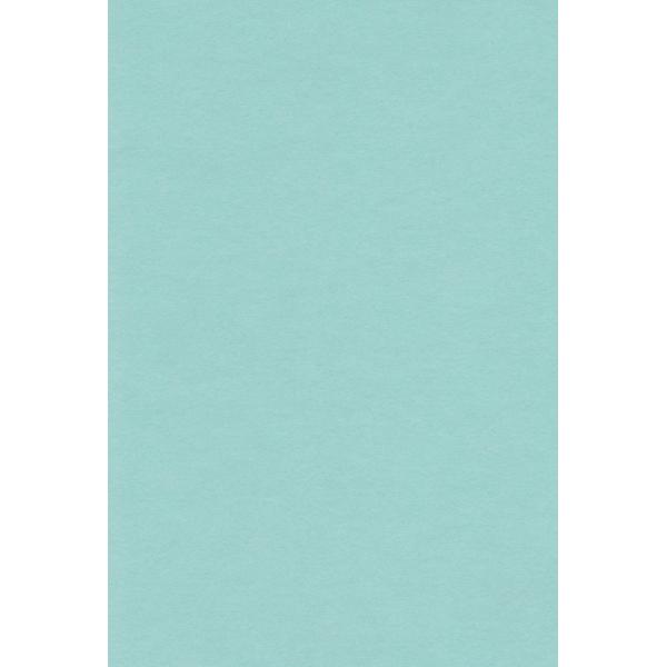 【商品概要】21.0cm×29.7cm【商品説明】【商品詳細】ブランド：エスケント商品種別：ホビー商品名：エスケント 色画用紙 A4 あさぎ 100枚 211406製造元：エスケント商品番号：211406商品内容：A4色：あさぎ商品タイプ：...
