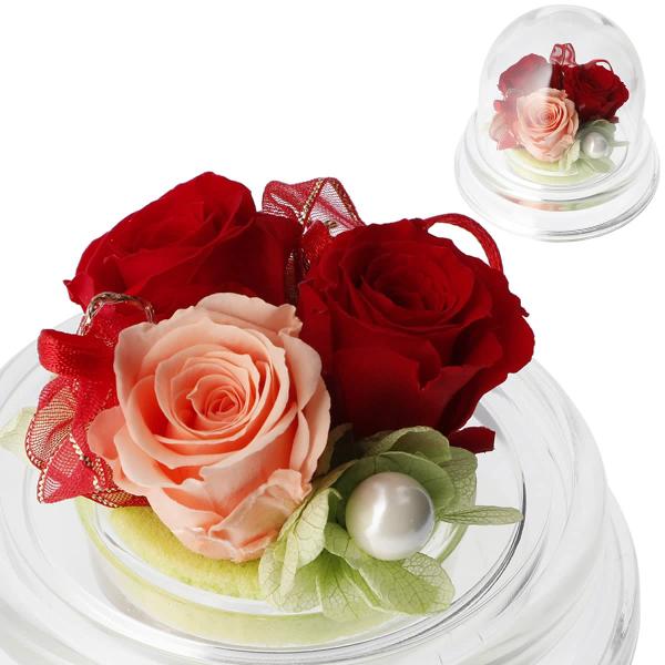 【商品概要】【大きさ 直径約９ｃｍ ｘ 高さ約８ｃｍ 】【商品説明】枯れないお花、プリザーブドフラワーのバラを3りん使用した可愛い手のひらサイズのアレンジです。 こぶりで、どこにでも飾りやすい大きさです。また、プラスティック製のドームの器に...