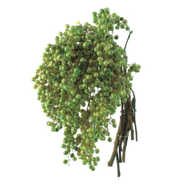 【商品概要】約L25~30cm主な素材:天然素材原産国:日本国プリザーブドフラワーグリーン リーフ 実もの 枝もの染料が切り口や表面から漏れることがありますので、直射日光や湿気は避けてください。直射日光や高温多湿の場所は避けてください。屋内...