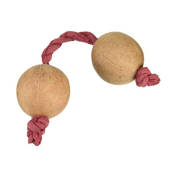 【商品概要】マリ製2個1組【商品説明】【商品詳細】ブランド：SOUND KING商品種別：シェイカー商品名：SOUND KING サウンドキング アサラト AS-756製造元：SOUND KING商品番号：AS-756商品内容：2個商品タイ...