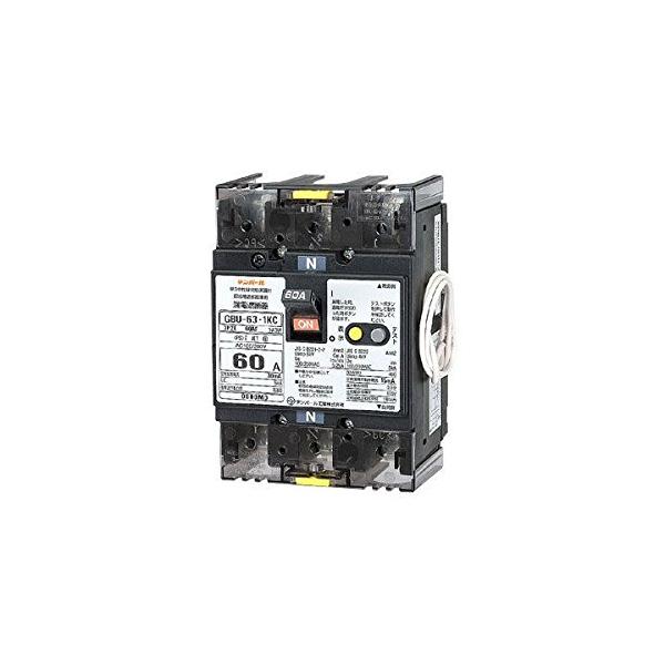 【商品概要】●定格使用電圧：100/200V<br>●定格電流：60A<br>●定格感度電流：30mA<br>●極数：3P<br>●素子数：2E<br>●フレーム：60AF<...