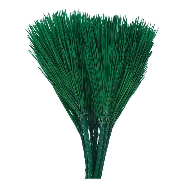 【商品概要】約L25.0~28.0cm主な素材:天然素材原産国:日本国プリザーブドフラワーグリーン リーフ 実もの 枝もの染料が切り口や表面から漏れることがありますので、直射日光や湿気は避けてください。直射日光や高温多湿の場所は避けてくださ...