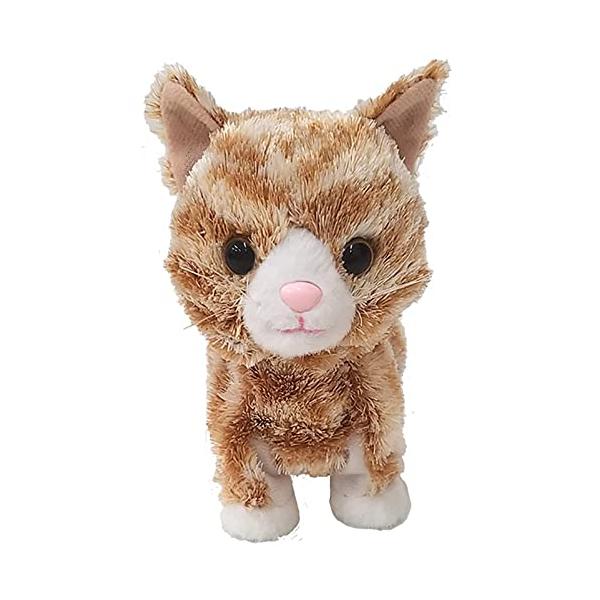 【商品概要】本体サイズ: 高さ約14cmx横幅14cmx縦幅8cm【商品説明】【商品詳細】ブランド：BESTEVER商品種別：おもちゃ商品名：【BESTEVER】 電池で動くぬいぐるみ 歩く 鳴く ウォーキングスイートキティ 猫 茶トラ チ...