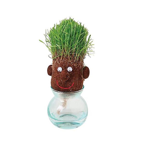 【商品概要】水につけておくだけで、約1週間ほどで頭から発芽!伸びたヘア(葉)をカットすれば、自分だけのヘアアレンジが楽しめますよ。【商品説明】【商品詳細】ブランド：農業屋商品種別：DIY・工具・ガーデン商品名：花ごころ 栽培セット hair...