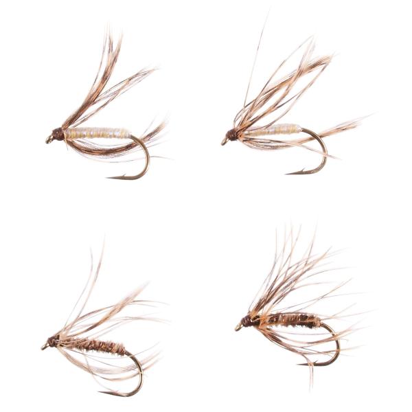 【商品概要】カラー:ブラウン、フラッシュ毛針サイズ:#12入数:計4本入り羽化直前の水生昆虫をイミテートしたフライスタイルテンカラ用毛針。【商品説明】【商品詳細】ブランド：ダイワ(DAIWA)商品種別：スポーツ＆アウトドア商品名：ダイワ(D...