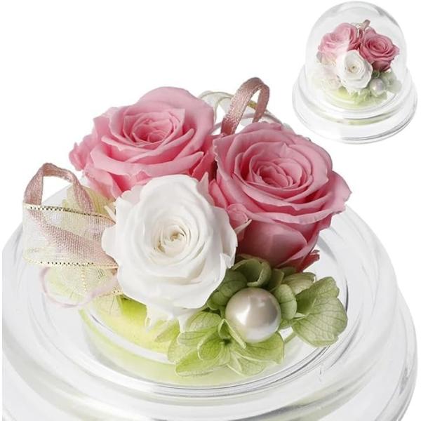 【商品概要】【大きさ 直径約９ｃｍ ｘ 高さ約８ｃｍ 】【商品説明】枯れないお花、プリザーブドフラワーのバラを3りん使用した可愛い手のひらサイズのアレンジです。 こぶりで、どこにでも飾りやすい大きさです。また、プラスティック製のドームの器に...