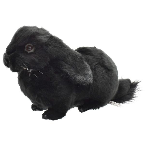 【商品概要】商品タイプ：リアルな動物のぬいぐるみ動物：ホーランドロップ【HANSAとは】 1972年にオーストラリアで創業して以来、地球上に生息する動物を中心に様々な生物を研究し、細部までリアルに再現したぬいぐるみを製造しております。 すべ...
