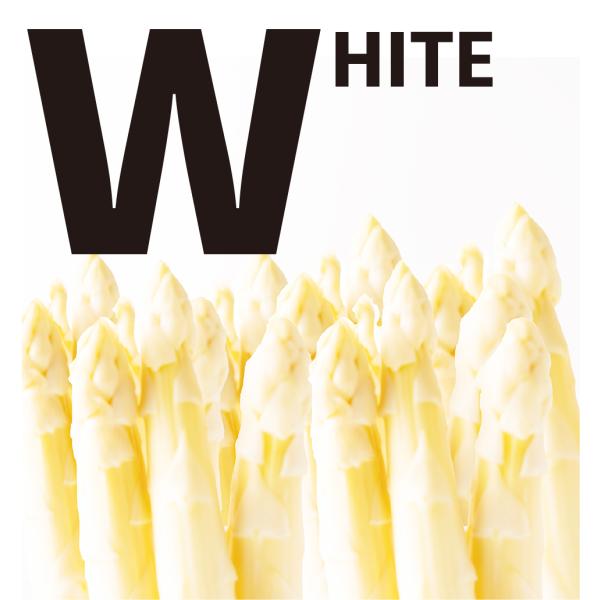 【発売日：2026年05月10日】2026年産スタート！希少な生のホワイトアスパラです。じわじわとファンが増えています。ボイル・ソテー・リゾット・・・どれもおいしい！この価格でも、品質に関して自信と責任を持ってお届けいたします。サイズはM-...