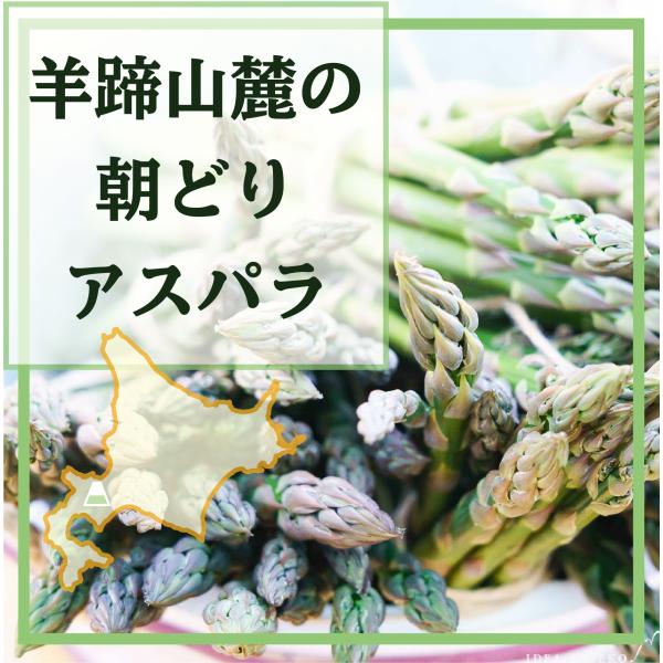 【発売日：2026年05月10日】【予約開始】5月10日頃から発送予定毎年ご好評の北海道倶知安「ニセコファーム」産のグリーンアスパラ、今年もご予約開始します。1年でこの時期だけ（6月初旬まで）のご提供です。ハウス栽培ではない本場北海道の露地...