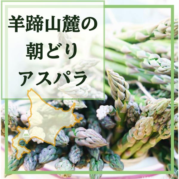 【発売日：2026年05月10日】【予約開始】5月10日頃から発送予定毎年ご好評の北海道倶知安「ニセコファーム」産のグリーンアスパラ、今年もご予約開始します。1年でこの時期だけ（6月初旬まで）のご提供です。ハウス栽培ではない本場北海道の露地...