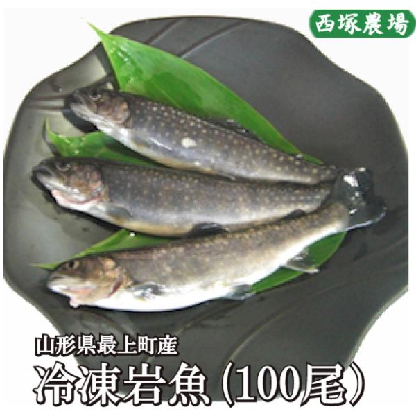 岩魚 100匹（冷凍）岩魚の大きさ：２０センチ前後、重量：１００g前後岩魚の腹を裂いておりません。（腹抜き後のサイズ：約70g）