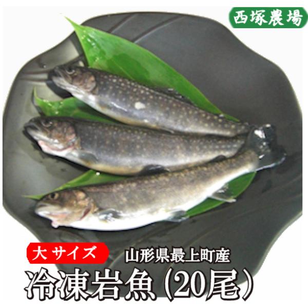 本商品は、冷凍岩魚 20匹（大サイズ 腹抜き) の商品です。※１２５g前後（22cm前後）の岩魚の腸を取り除いて、 1匹ずづ袋詰めし、冷凍した商品です。岩魚の腹を裂いておりません。ご家庭での焼き魚や唐揚げなどの揚げ物、バーベキューでの焼き魚...